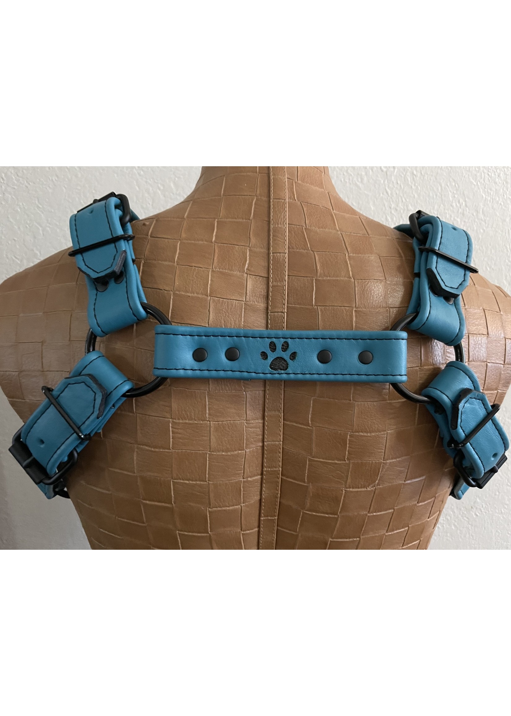 Custom Leather Harness - Neesh LLC