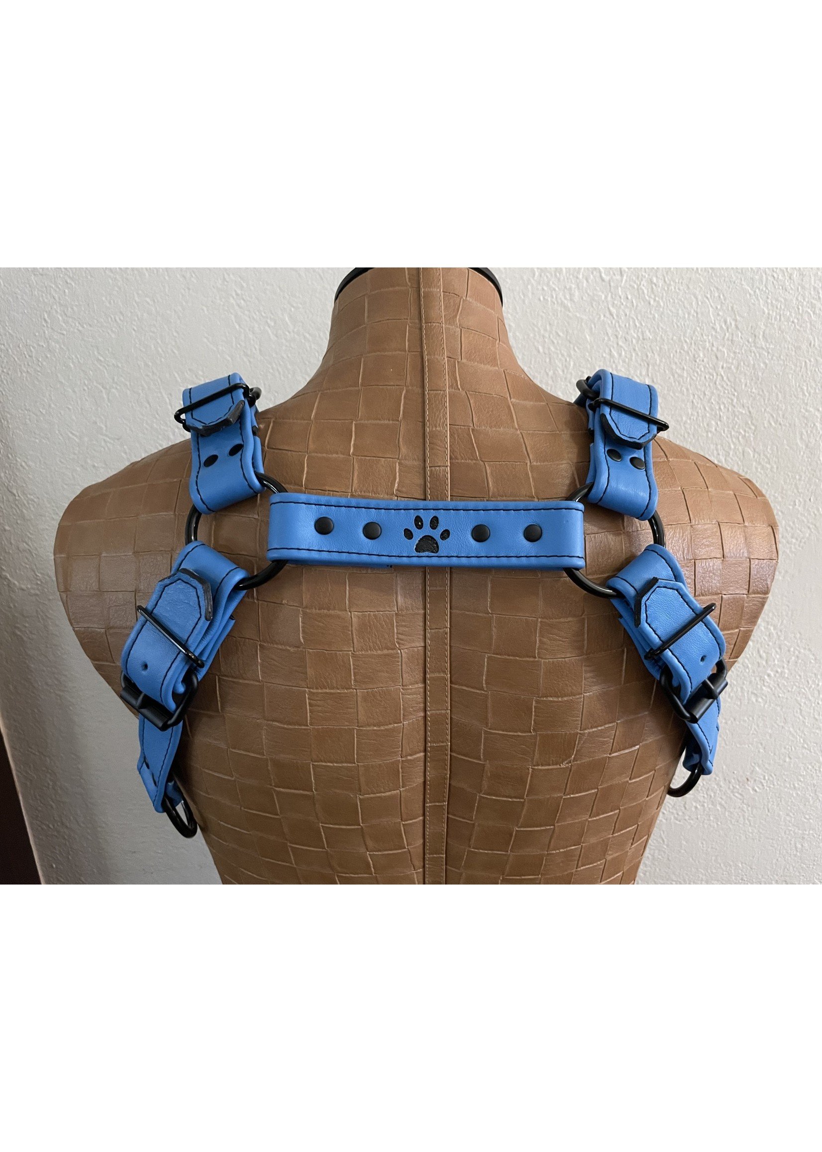 Custom Leather Harness - Neesh LLC