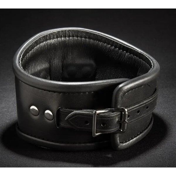 Collars/Leashes - Neesh LLC
