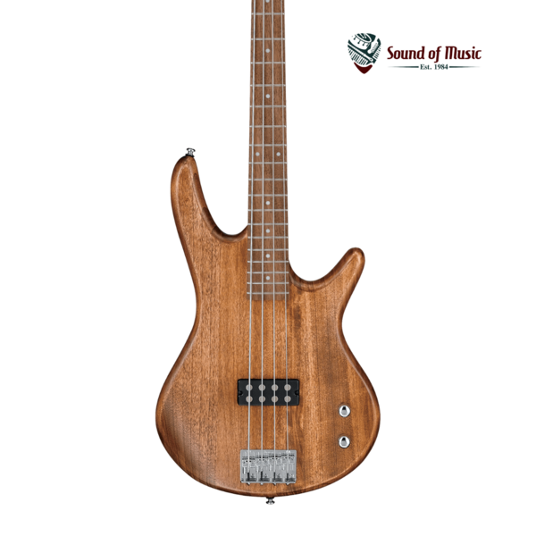 Electric Bass Guitars - Sound of Music