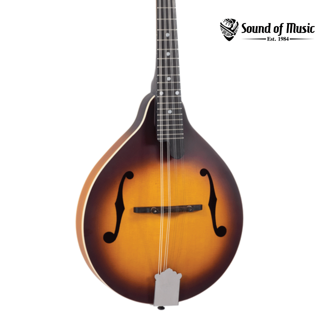 Recording King RAM-3 Dirty 30s A-Style Mandolin - Tobacco Sunburst ...