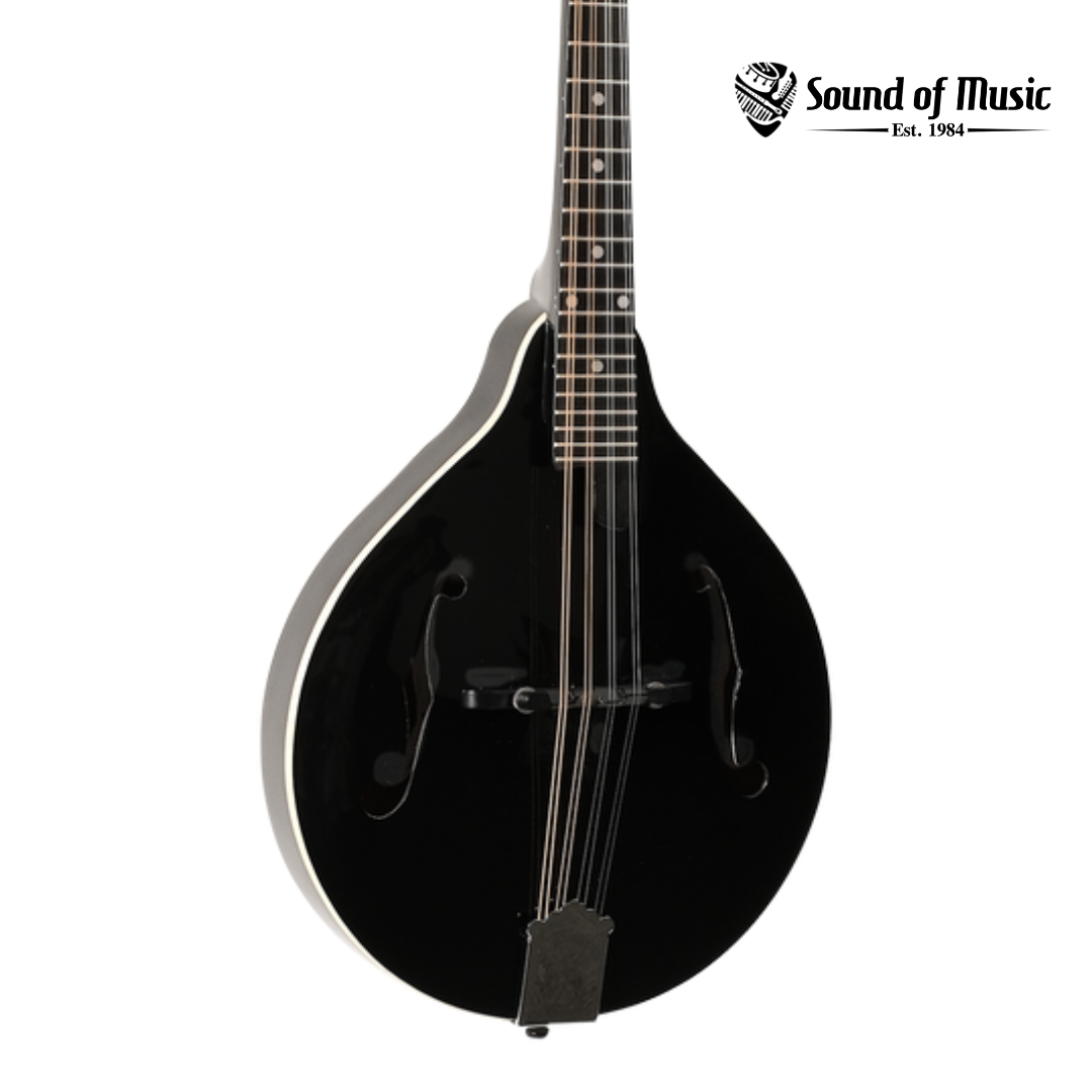 Recording King RAM-3 Dirty 30s A-Style Mandolin - Gloss Black - Sound ...