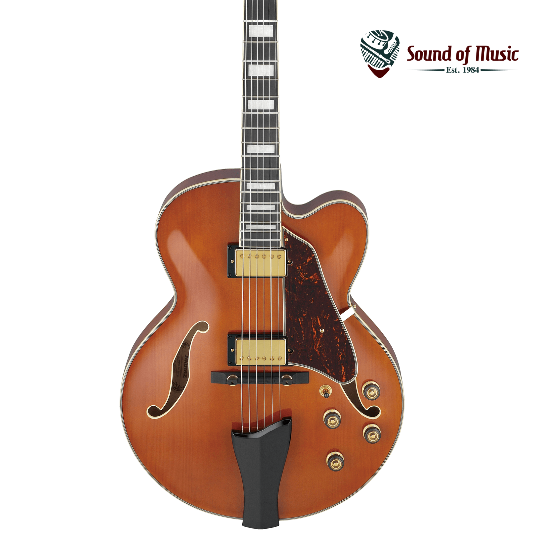 Ibanez Artcore Expressionist AF95 Hollowbody Electric Guitar - Dark ...