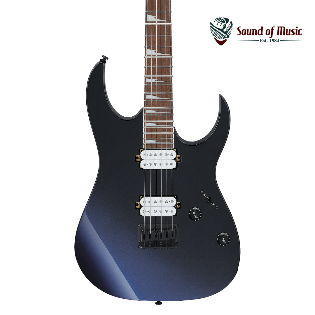 Ibanez Standard RG421DX Electric Guitar - Twilight Shade - Sound of Music