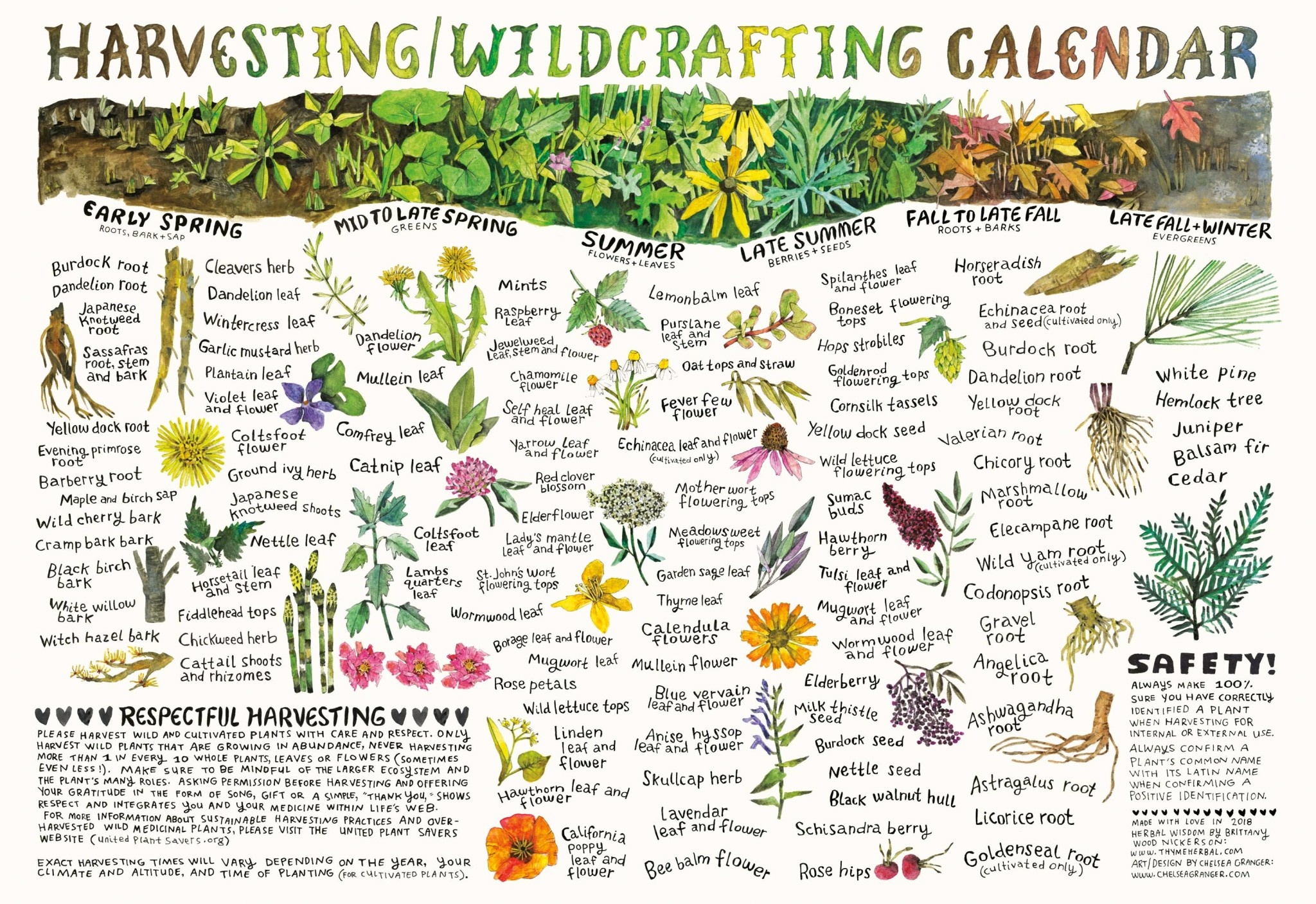 Harvesting and Wildcrafting Calendar - Maxima Gift and Book Center