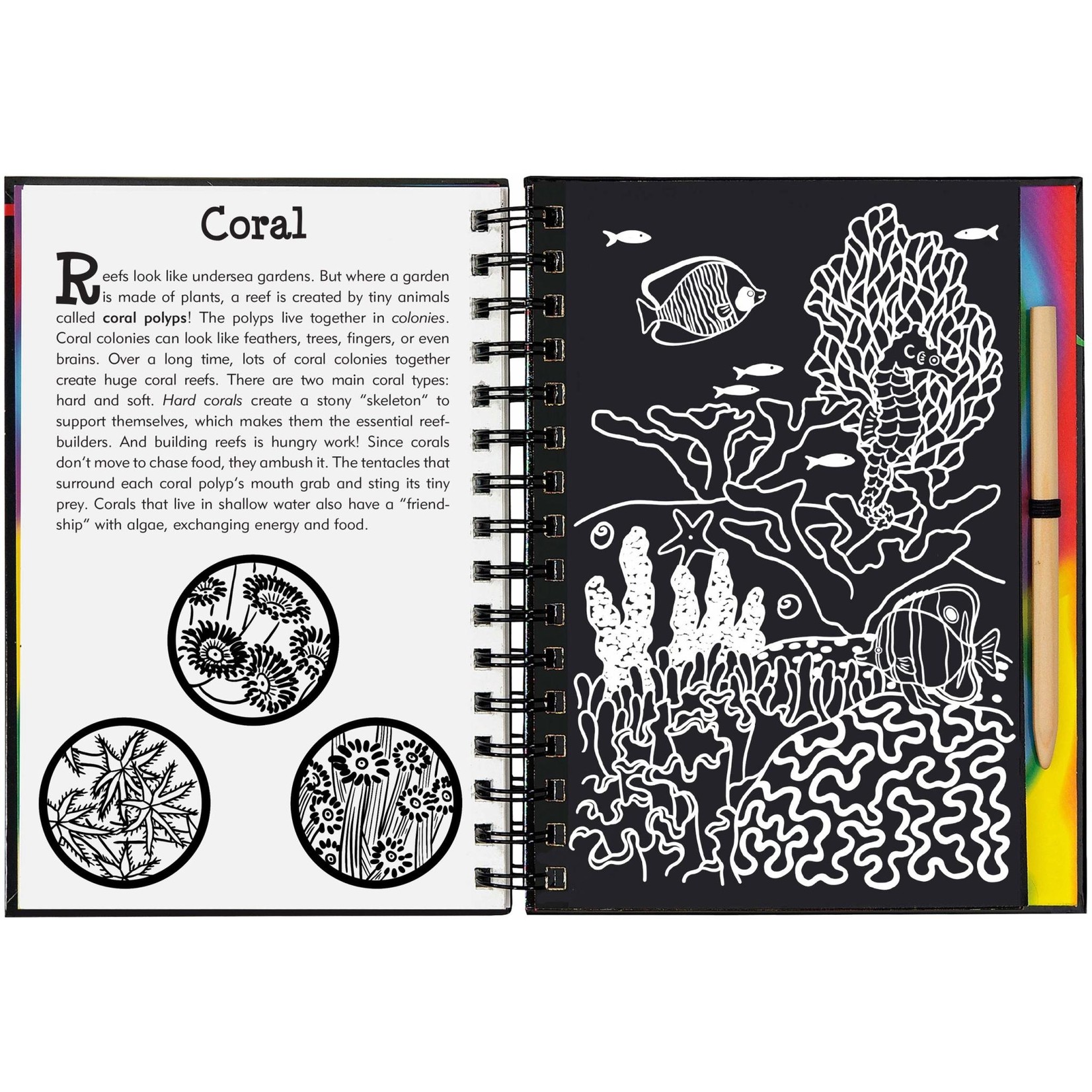 Scratch & Sketch, Coral Reefs (Trace-Along) - Maxima Gift and Book Center