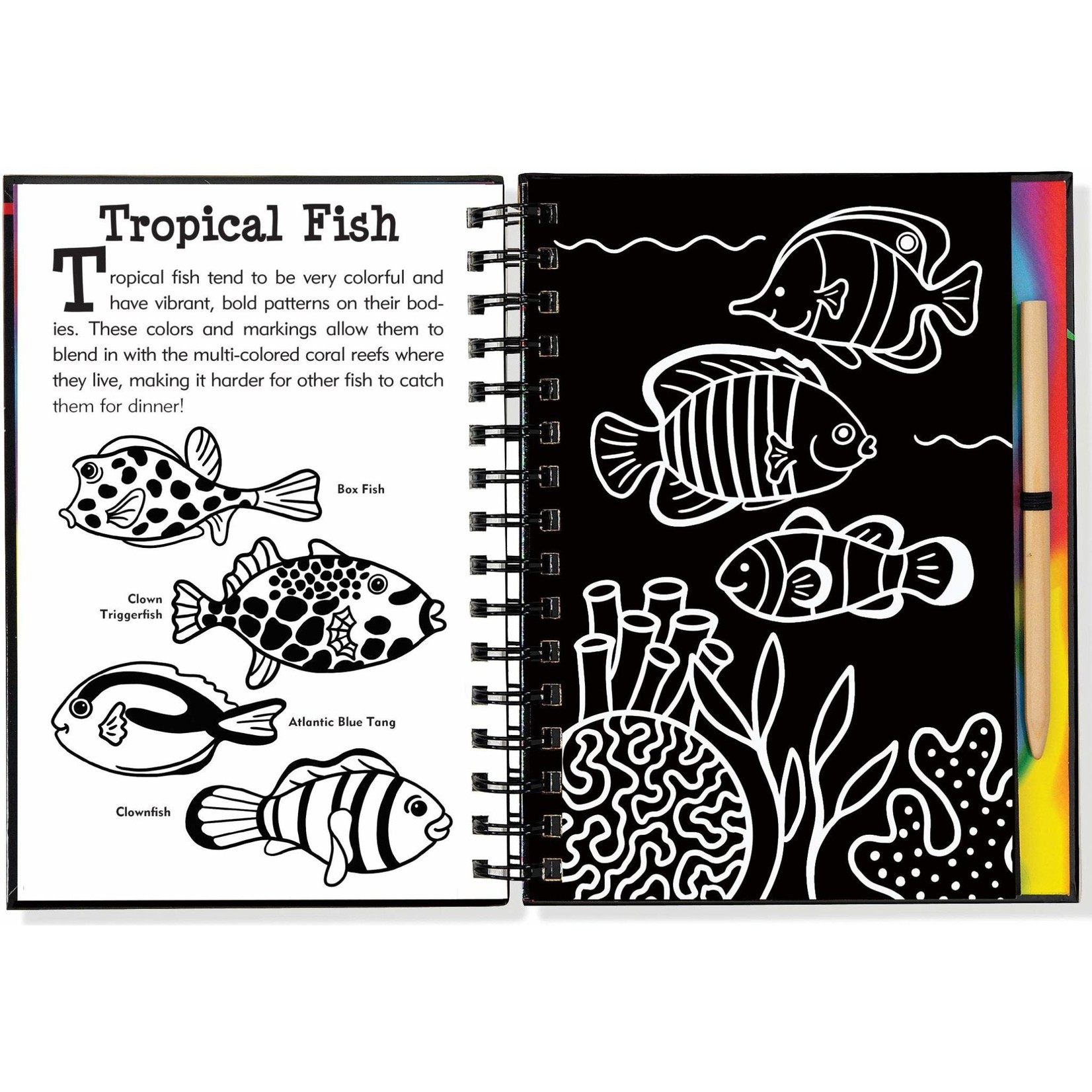 Scratch & Sketch, Under the Sea (Trace-Along) - Maxima Gift and Book Center