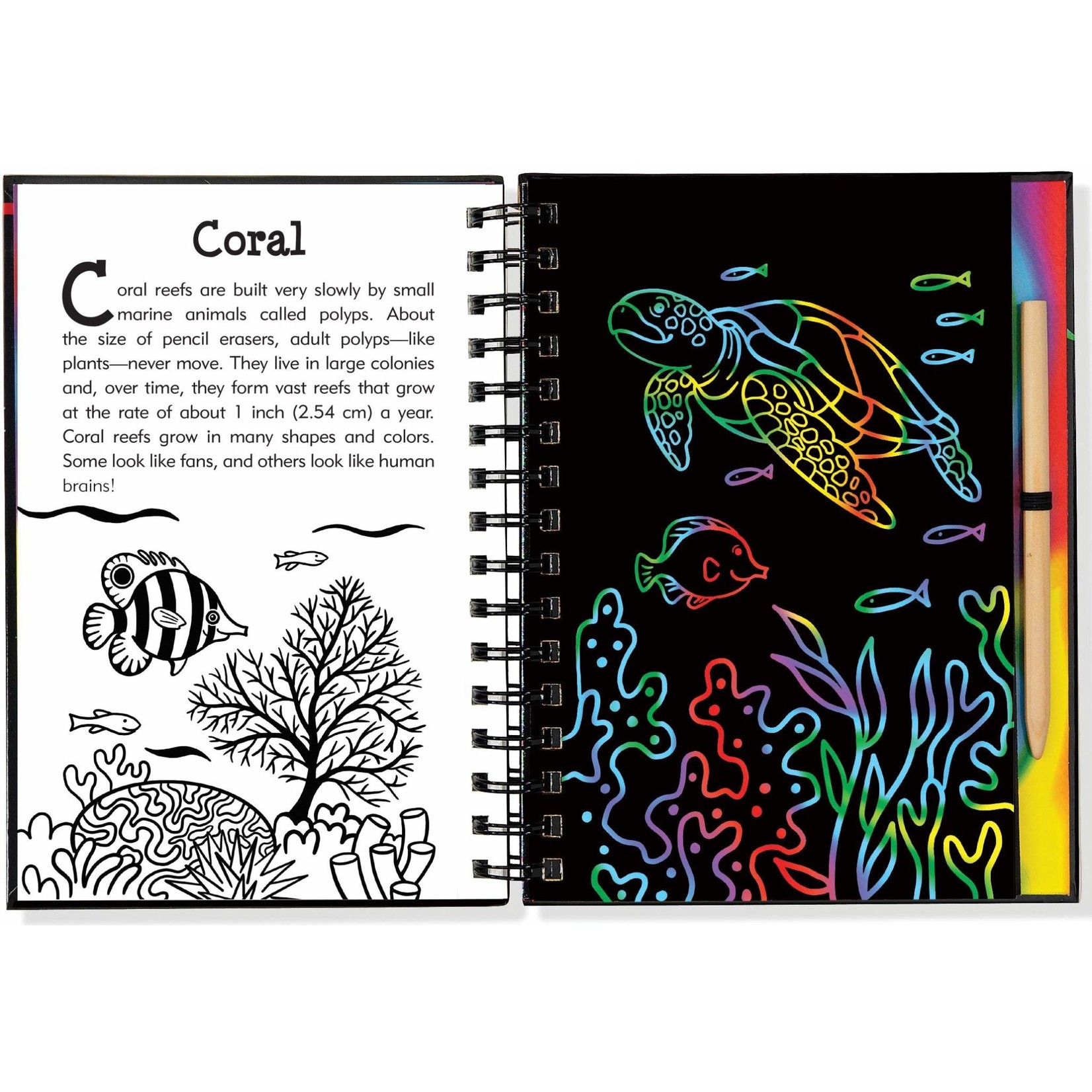 Scratch & Sketch, Under the Sea (Trace-Along) - Maxima Gift and Book Center