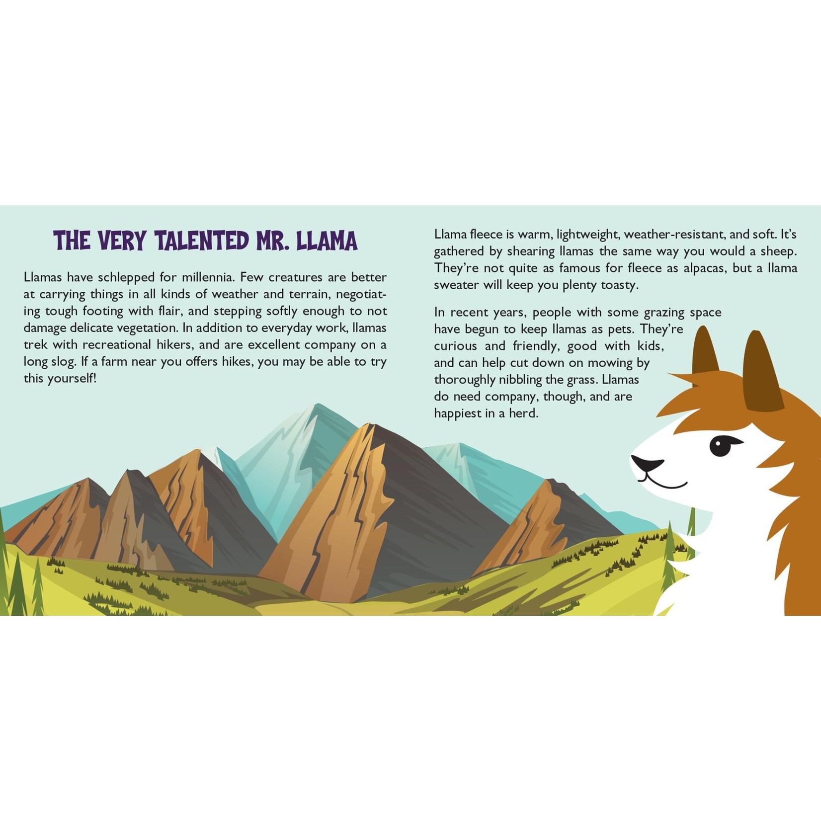 Hug a Llama Kit - Maxima Gift and Book Center