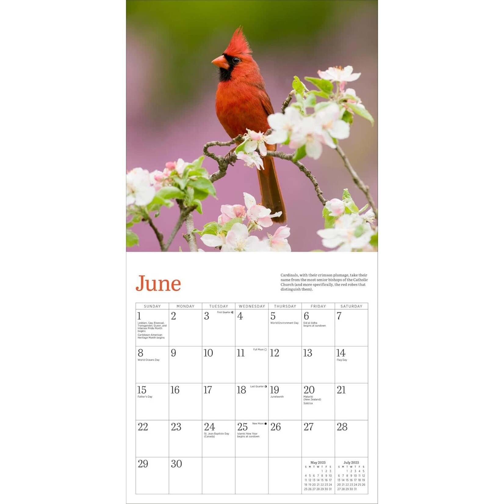 Audubon Cardinals Mini Wall Calendar 2025 - Maxima Gift and Book Center