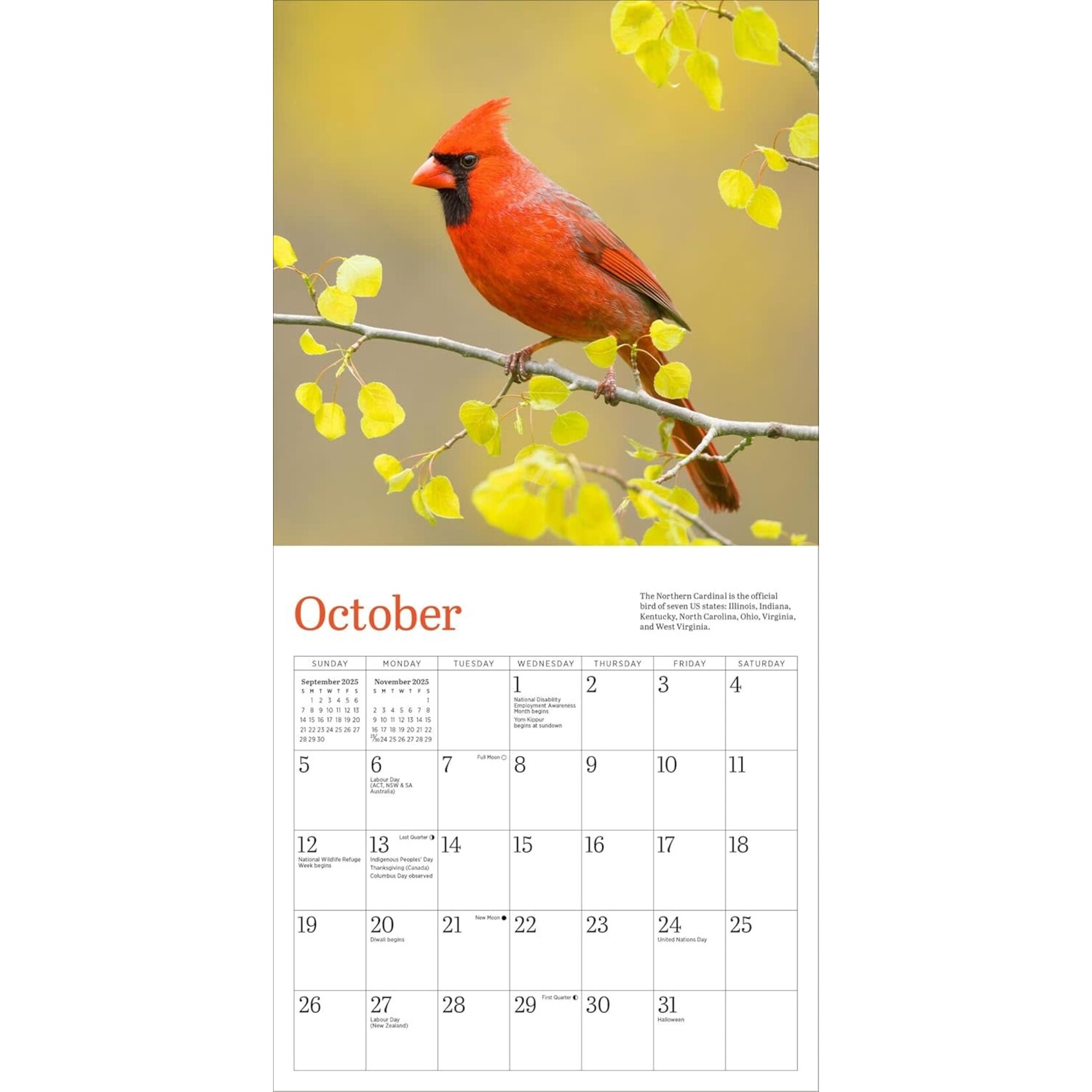 Audubon Cardinals Mini Wall Calendar 2025 - Maxima Gift and Book Center
