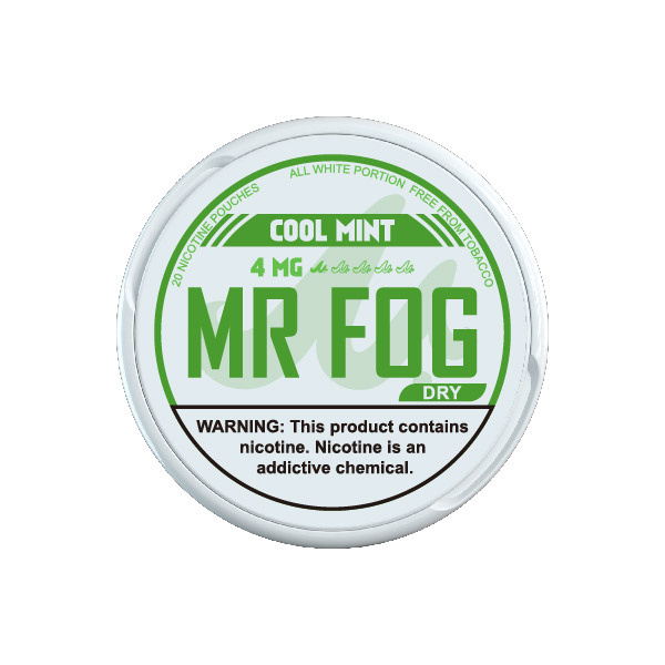 [DRY] MR FOG NICOTINE POUCHES 4 MG COOL MINT - Mr Fog Canada
