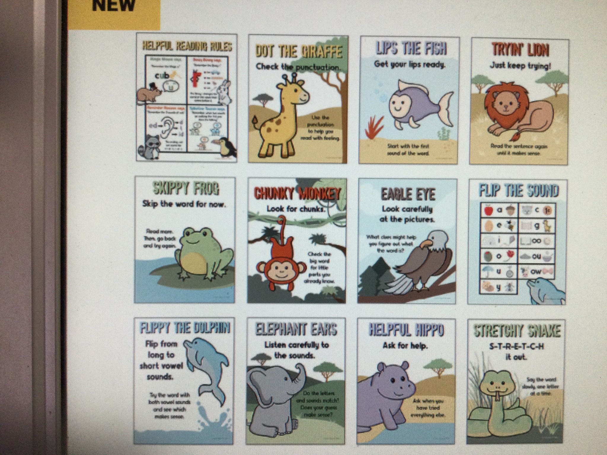 Decoding Strategies Mini Posters - School Spot