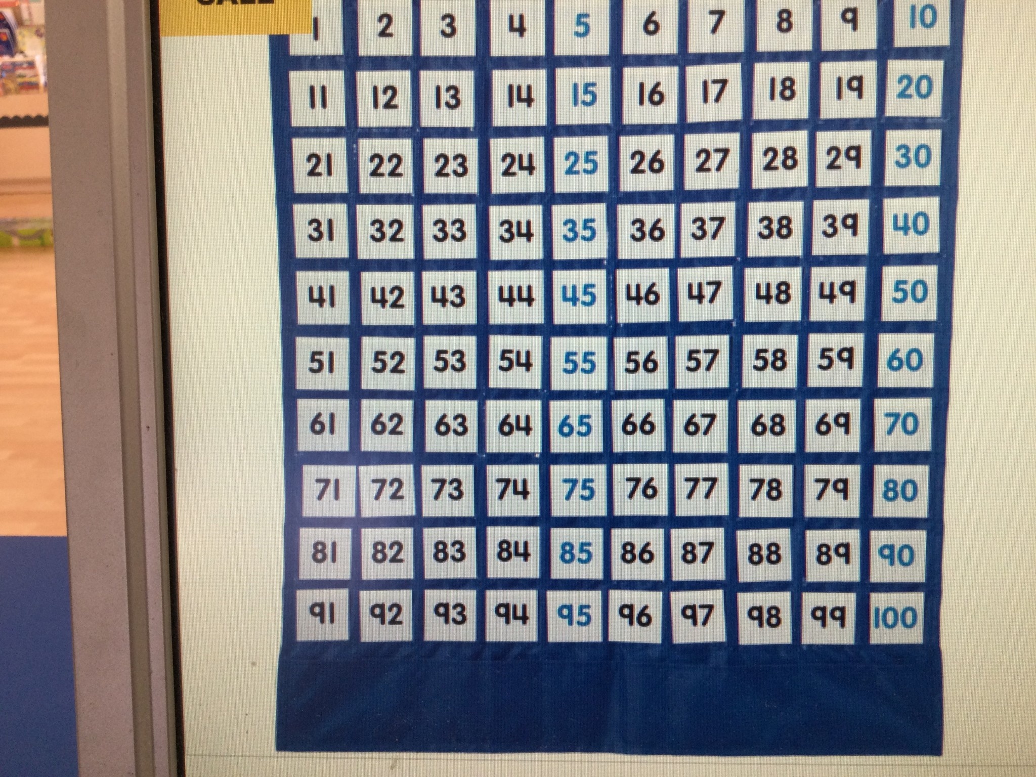 Deluxe Hundred Board Pocket Chart - School Spot