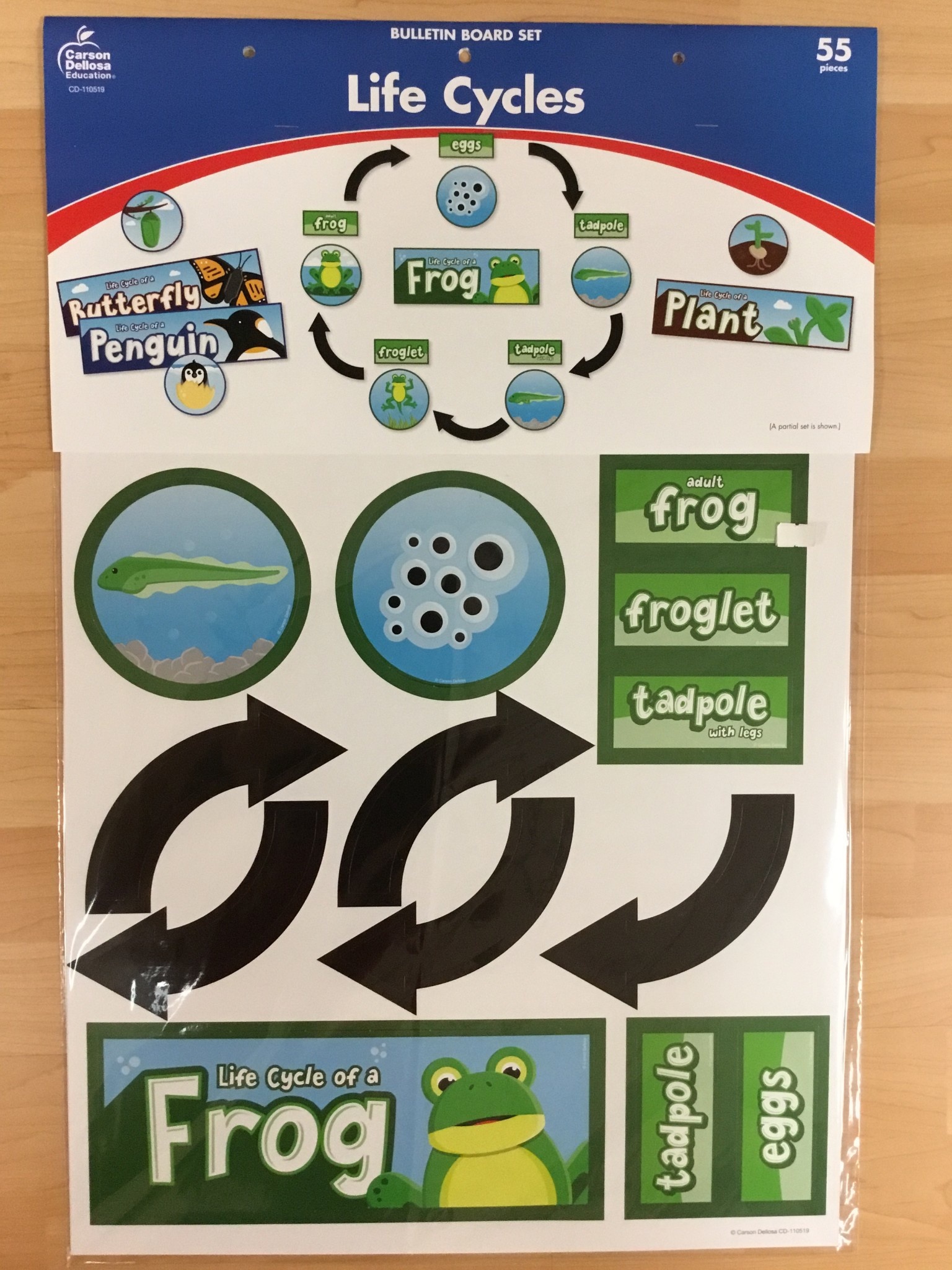 Life Cycles Bulletin Board Set - School Spot