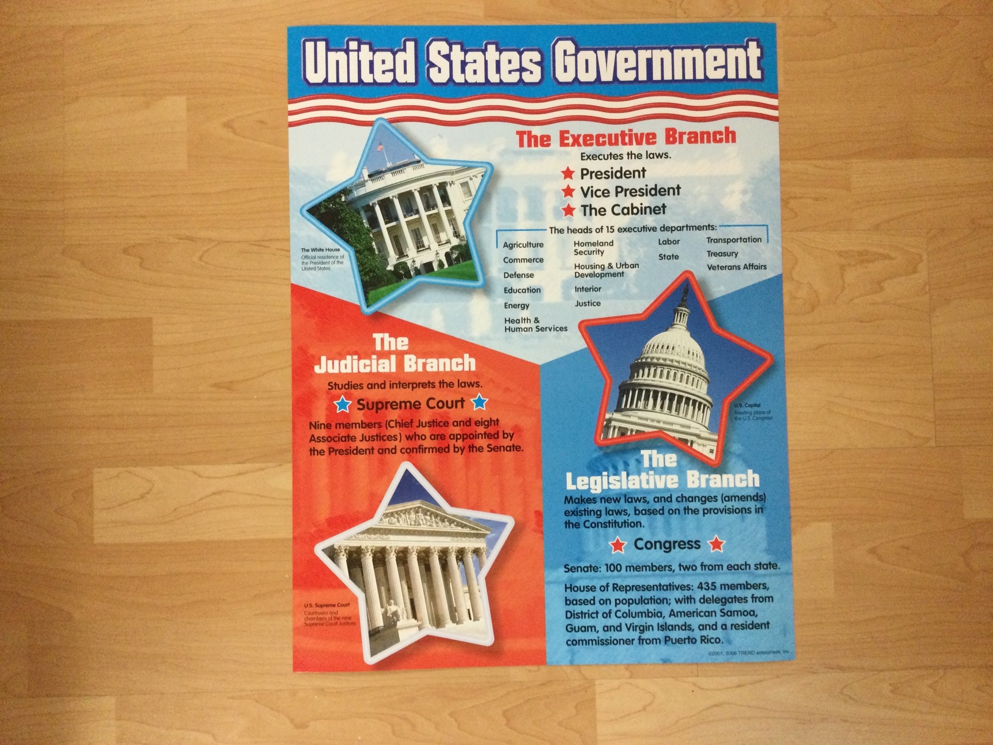 United States Government Chart - School Spot