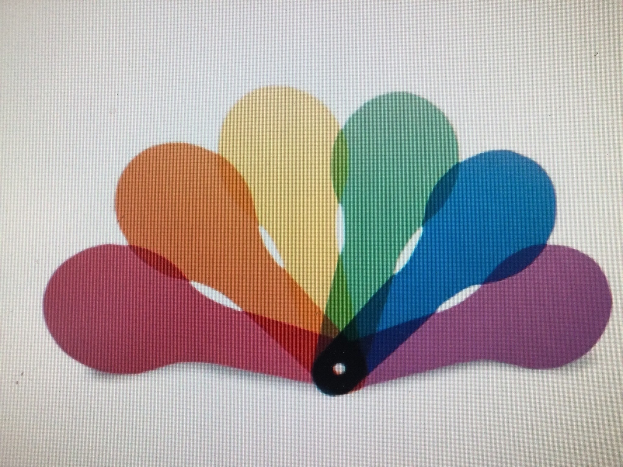 Color Paddles - School Spot