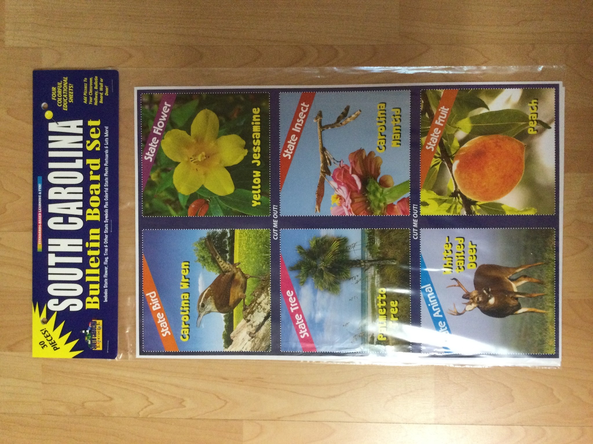 South Carolina Bulletin Board - School Spot