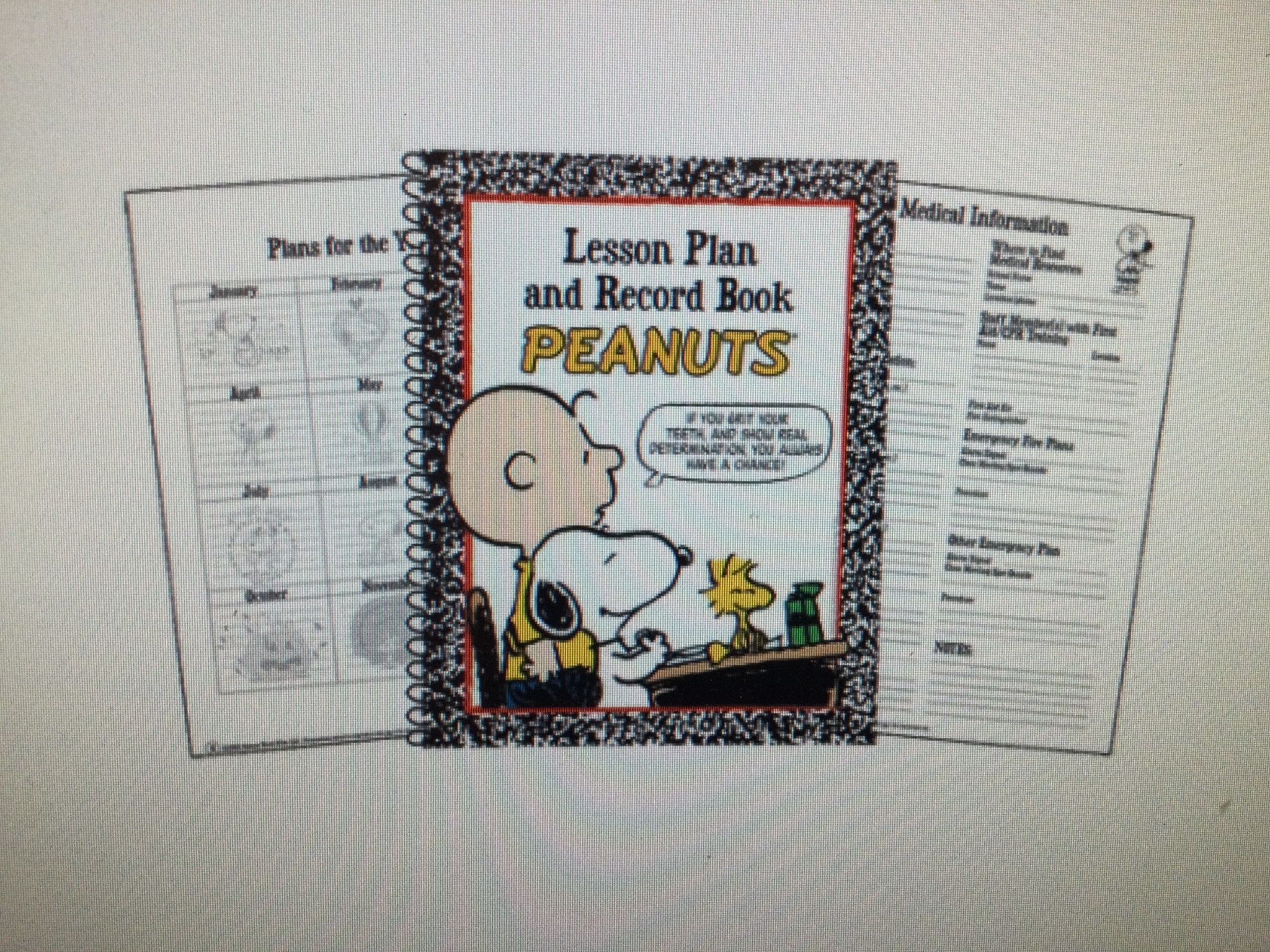 Peanuts Lesson Plan & Records - School Spot