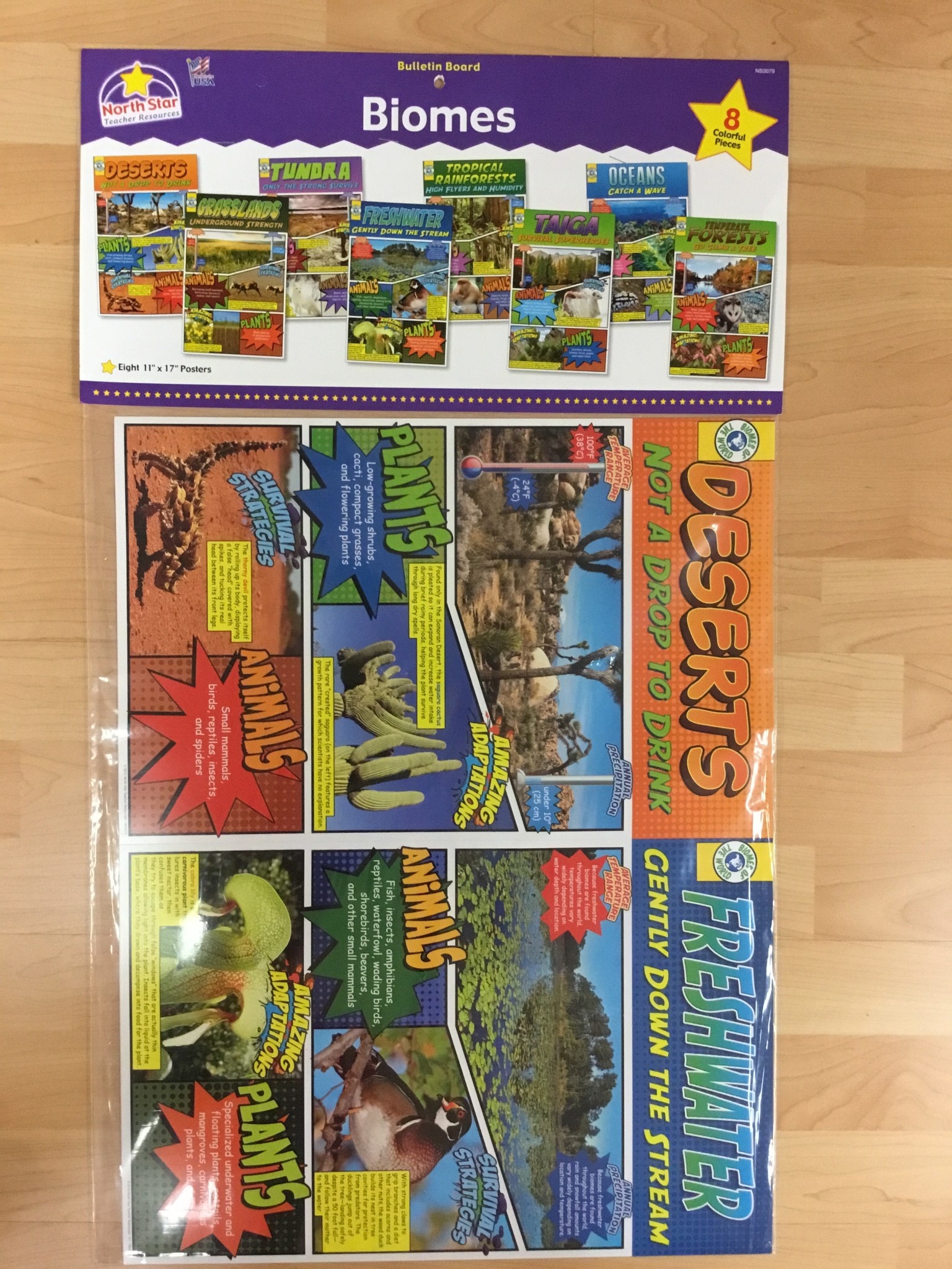 Biomes Bulletin Board - School Spot