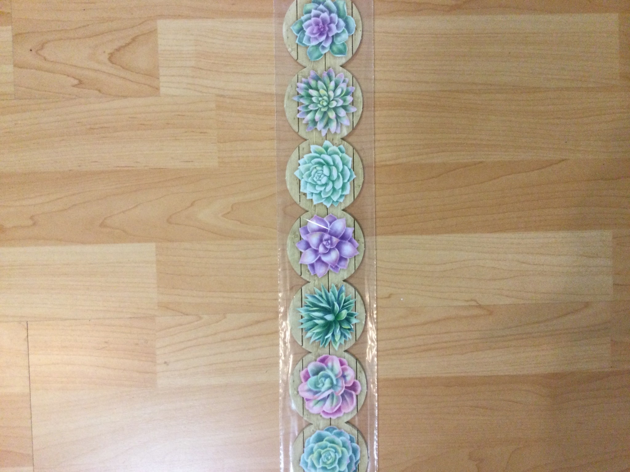 Rustic Bloom Succulents Border - School Spot