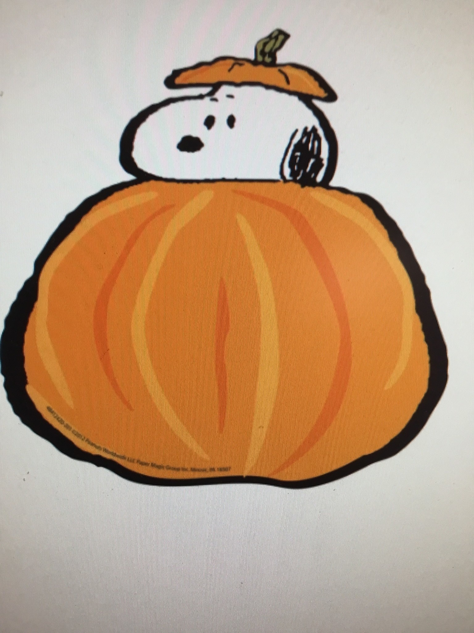 Peanuts Fall Pumpkins Cutouts - School Spot