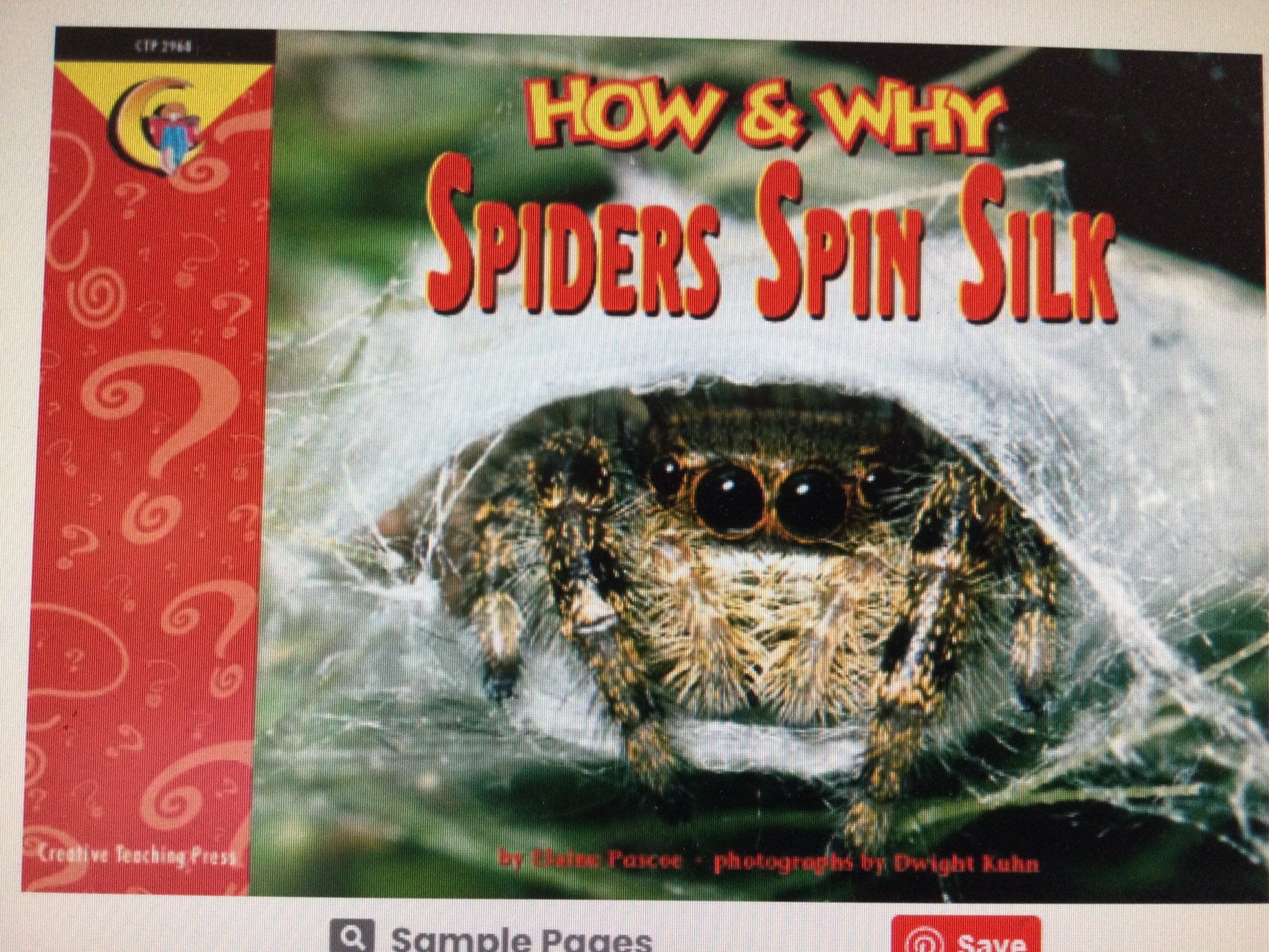 How & Why Spiders Spin Silk - School Spot