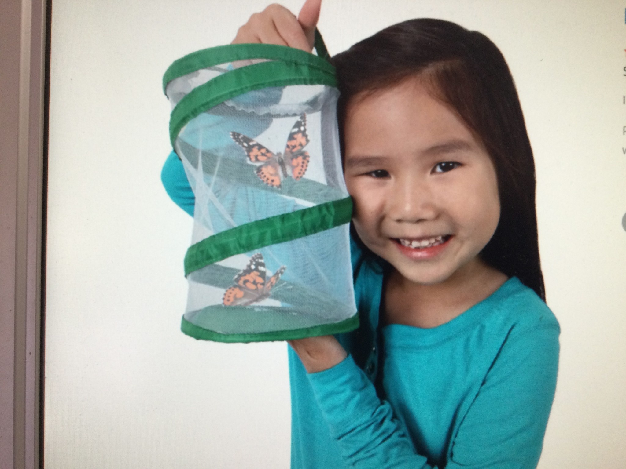 Pop Up Port a Bug - School Spot