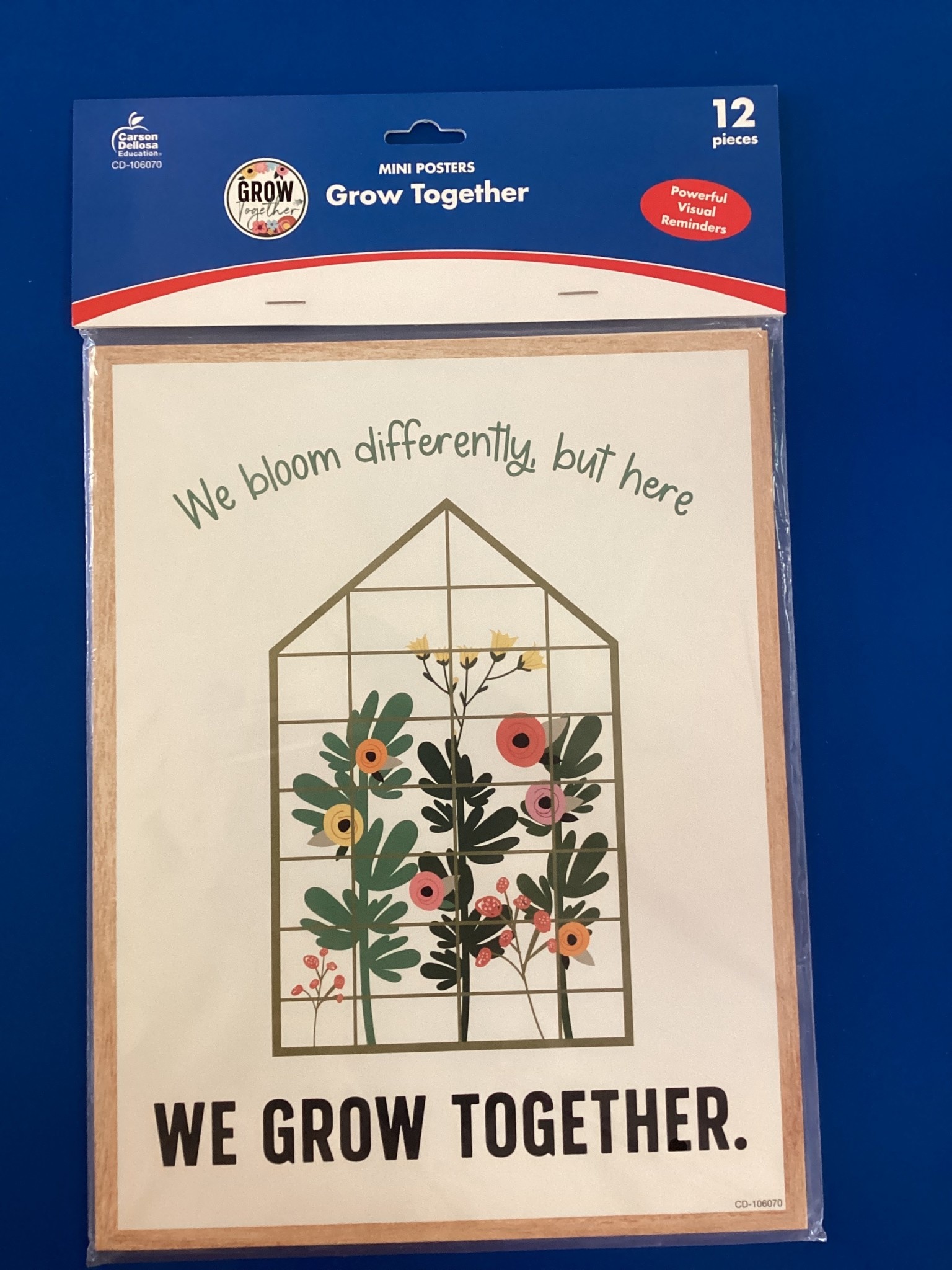Grow Together Motivational Mini Posters 12 pc - School Spot
