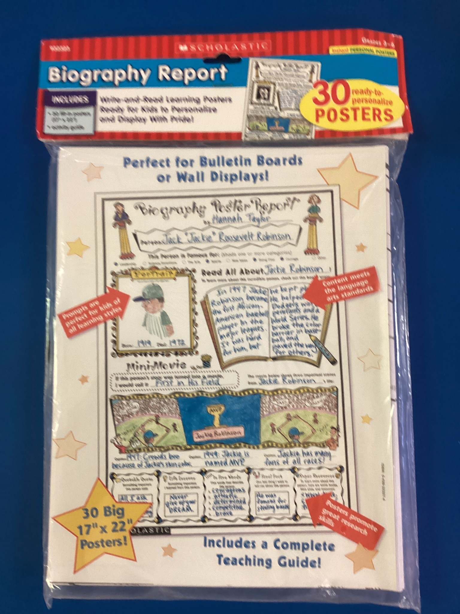 30 Biography Report Posters - School Spot