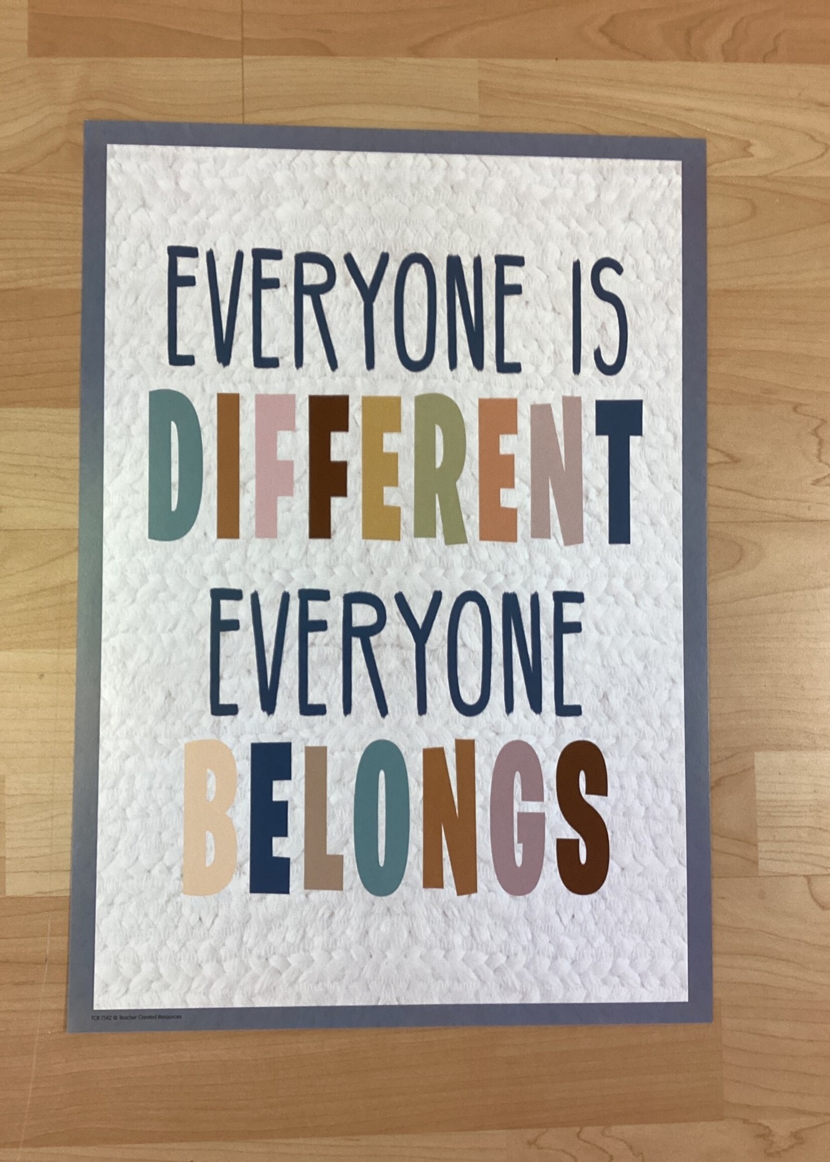 Everyone is Different Everyone Belongs Poster - School Spot