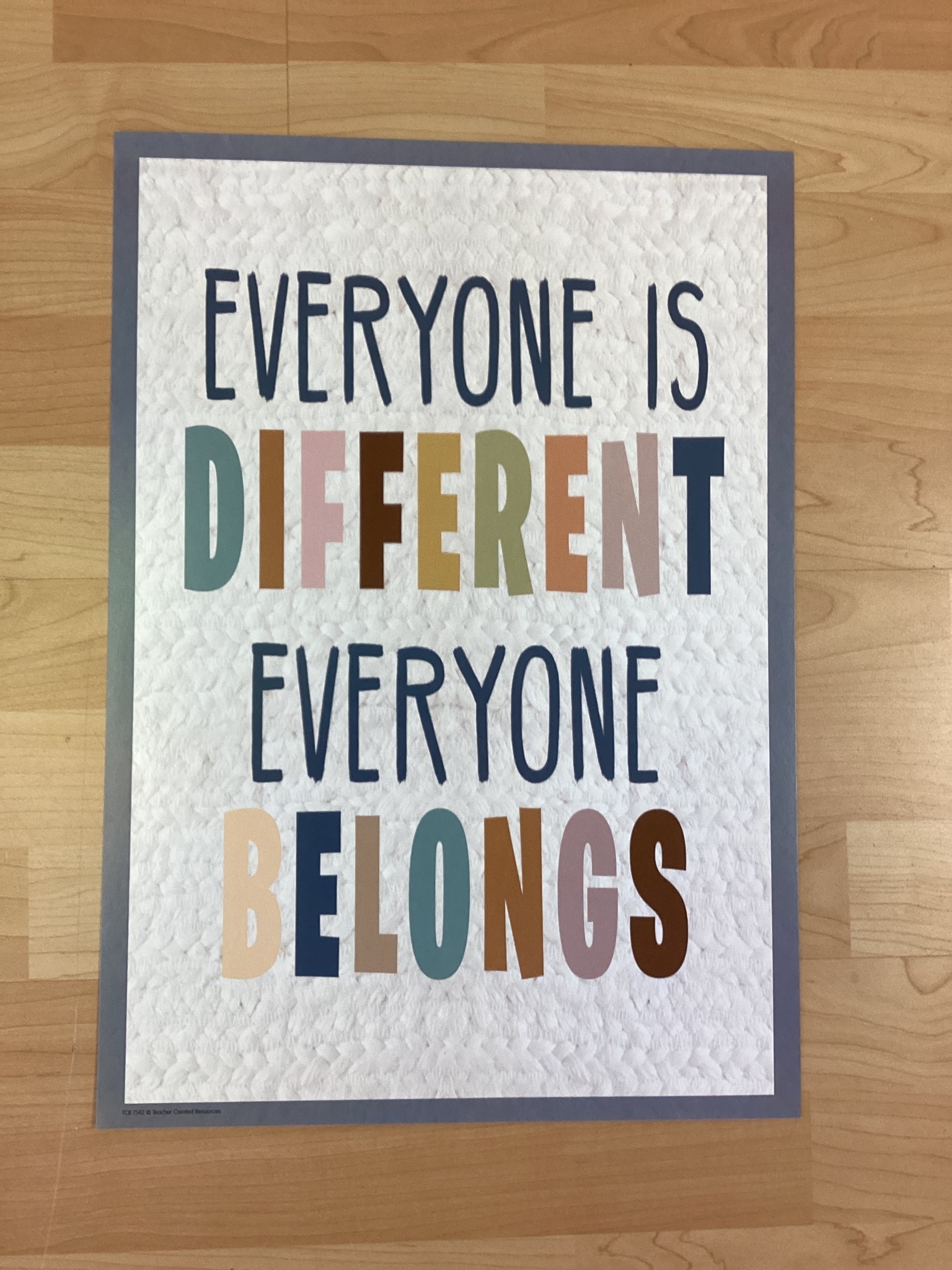 Everyone is Different Everyone Belongs Poster - School Spot Everyone is Different Everyone Belongs Poster - School Spot