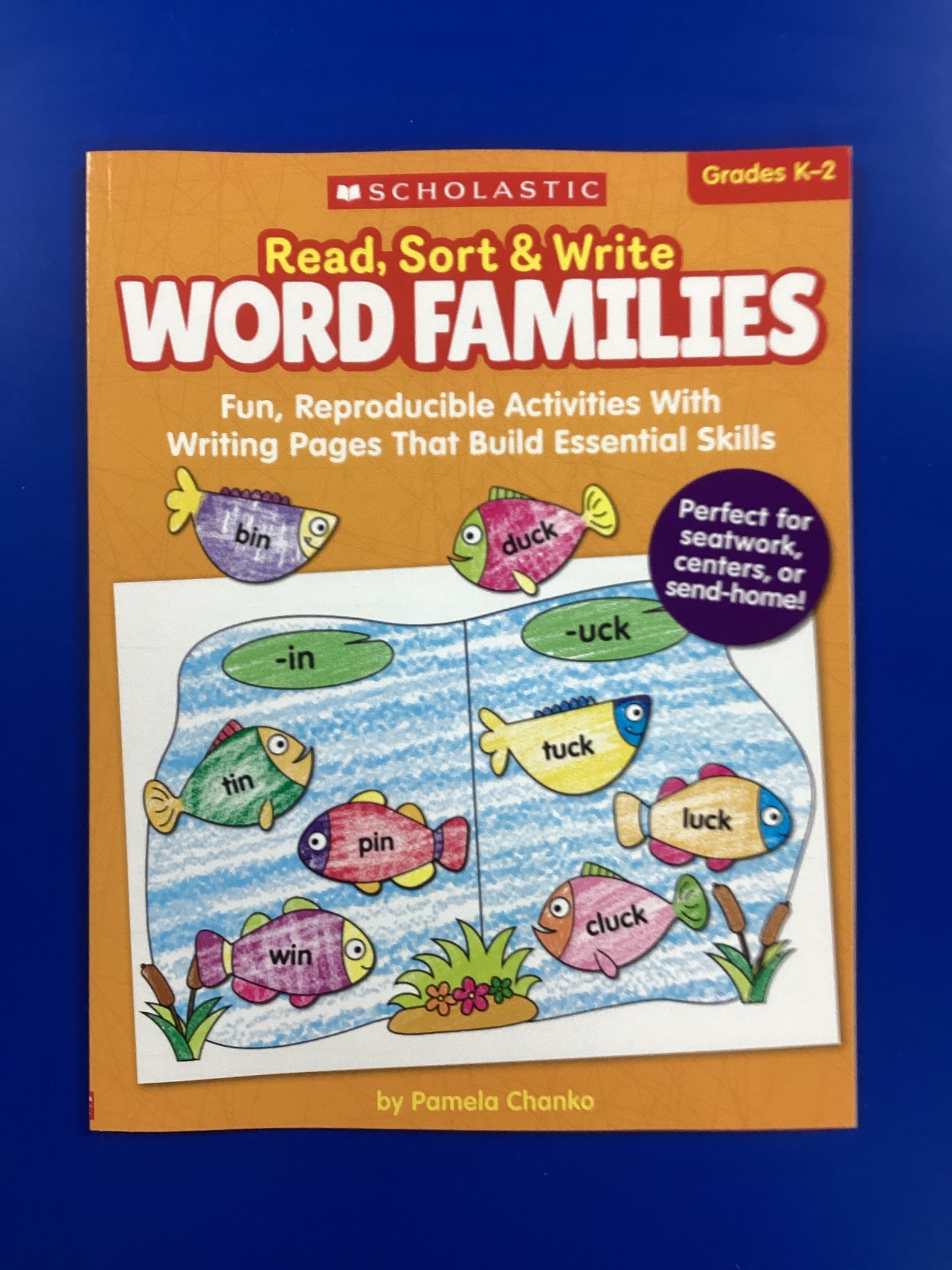 Read, Sort & Write Word Families - School Spot