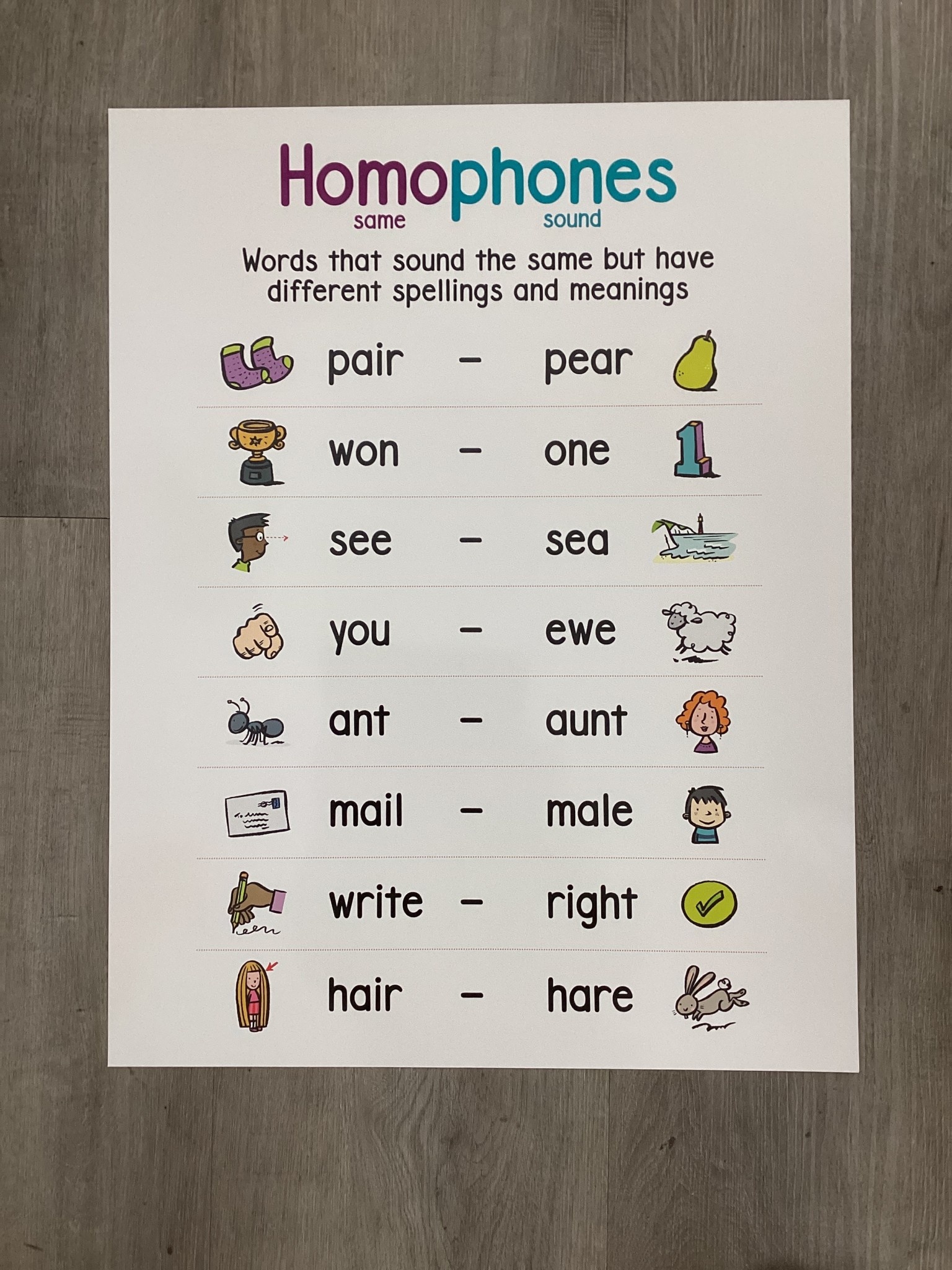 Homophones Anchor Chart - School Spot