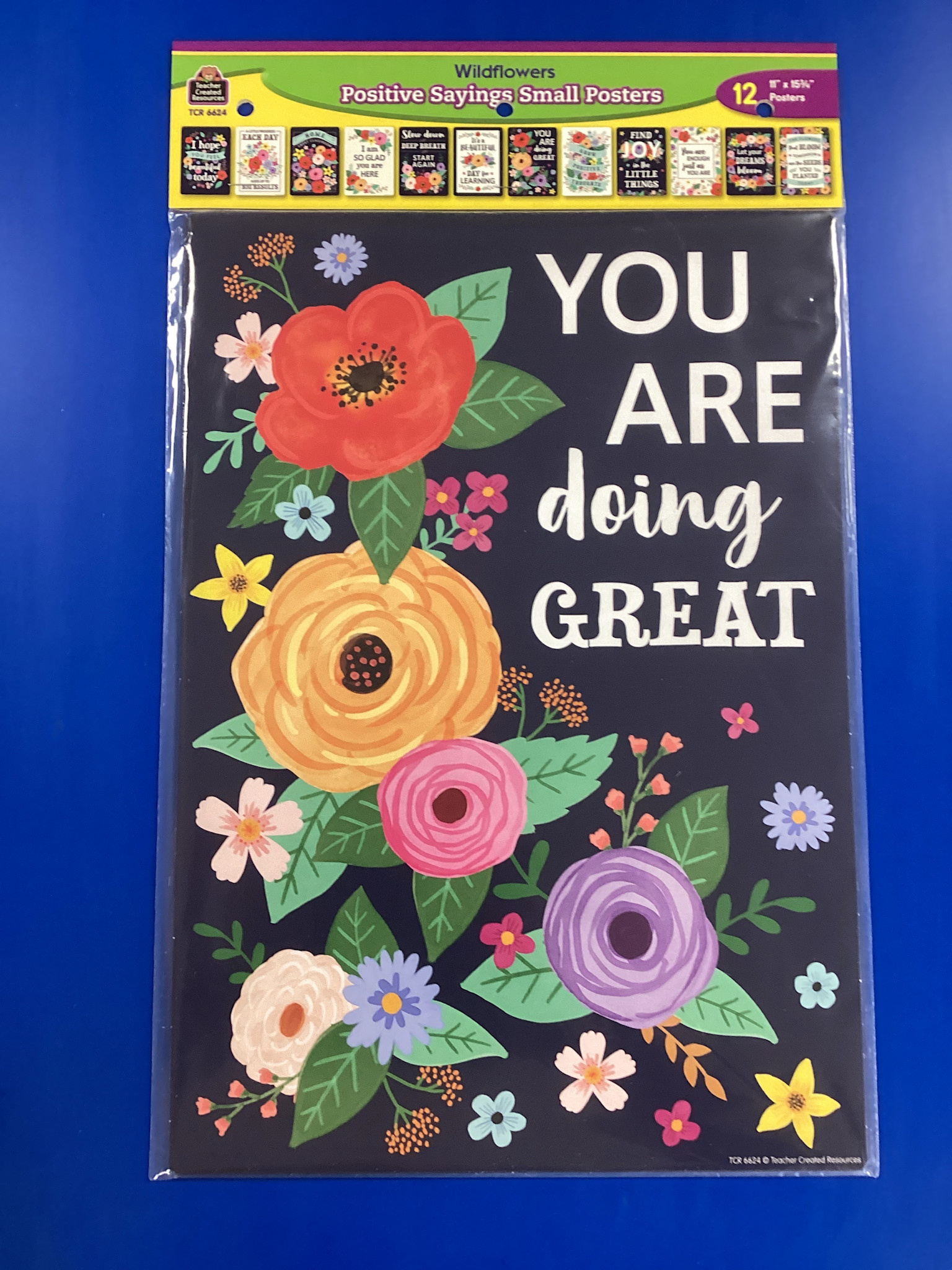 Wildflowers Positive Sayings Small Posters 12pc - School Spot