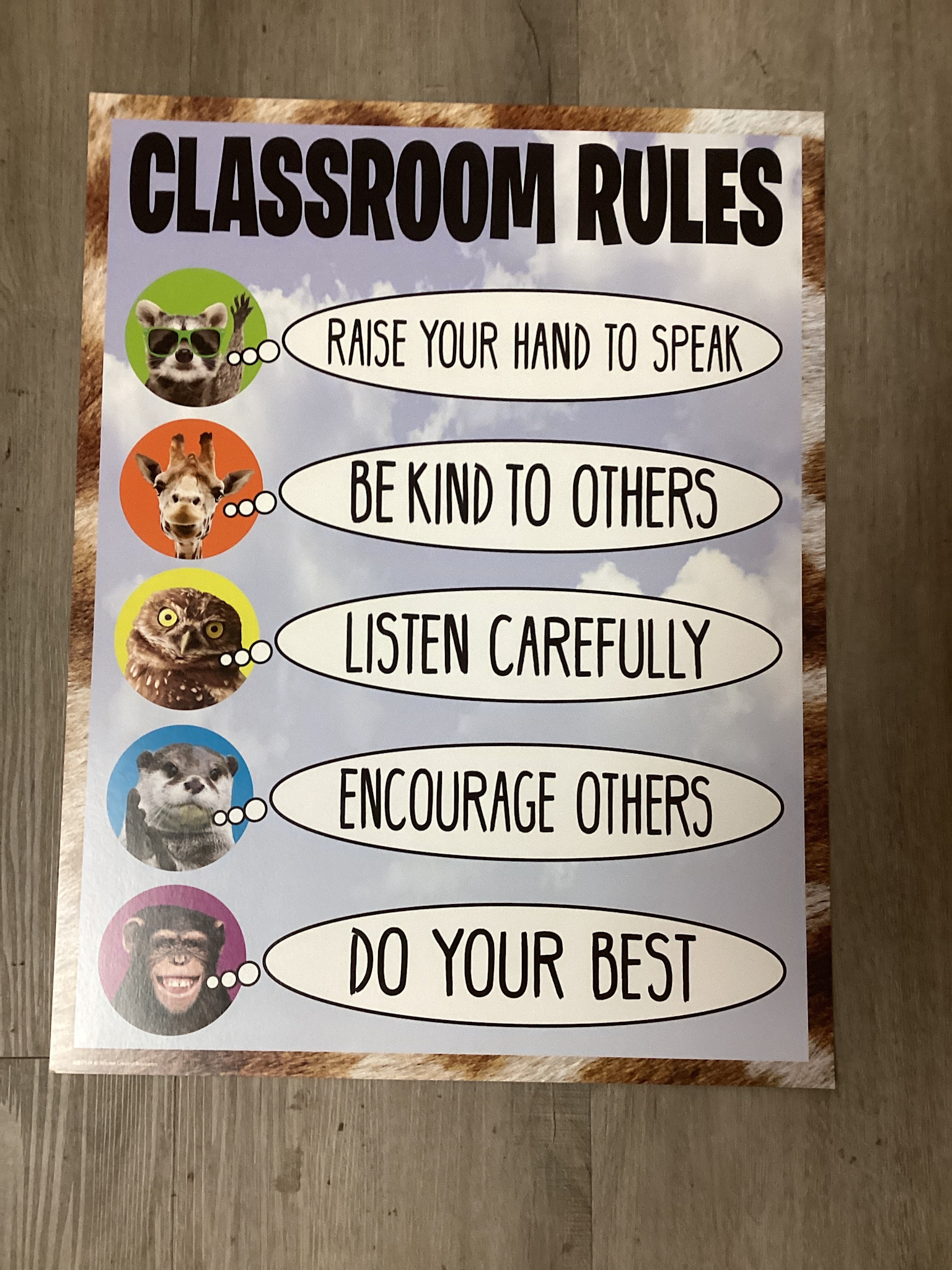 Go Wild Animals Classroom Rules Chart - School Spot