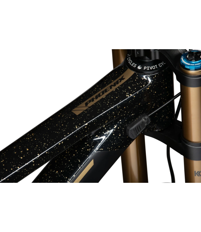 Pivot Bike Phoenix V5 2025 Pro Saint | Fanatyk Co - FanatykCo Ski & Cycle