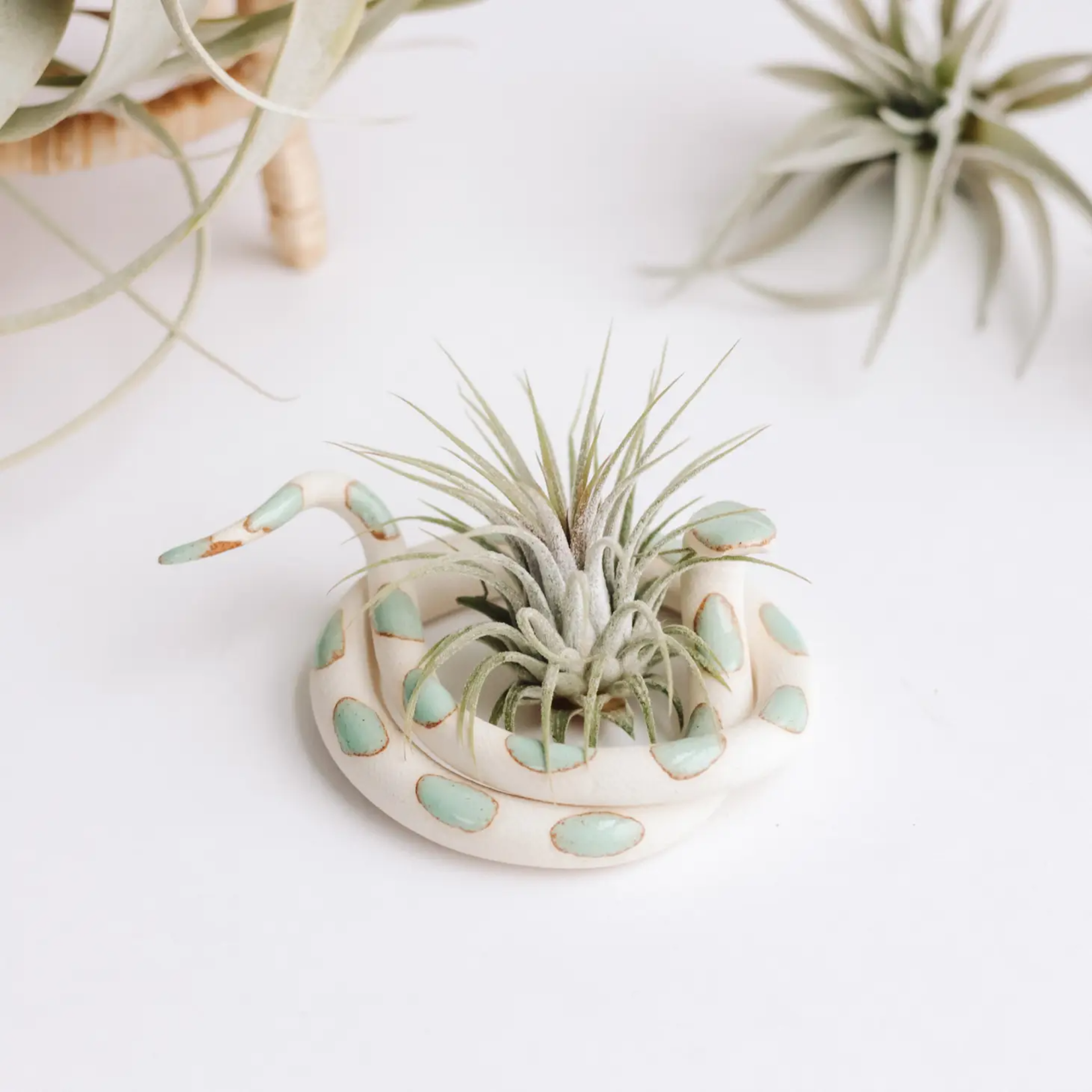 Coiled Ceramic Snake - The Periwinkle Shoppe