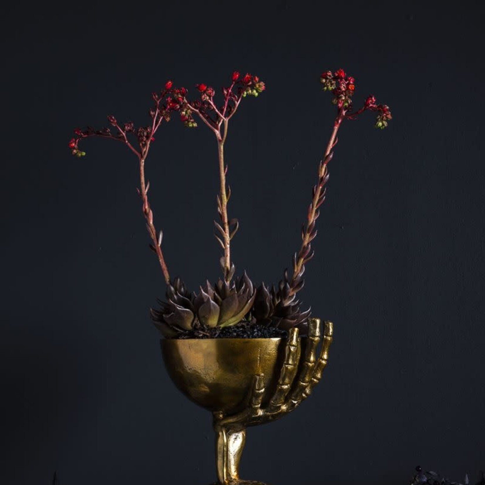 AD - Halloween Maleficent Hand Bowl - The Periwinkle Shoppe