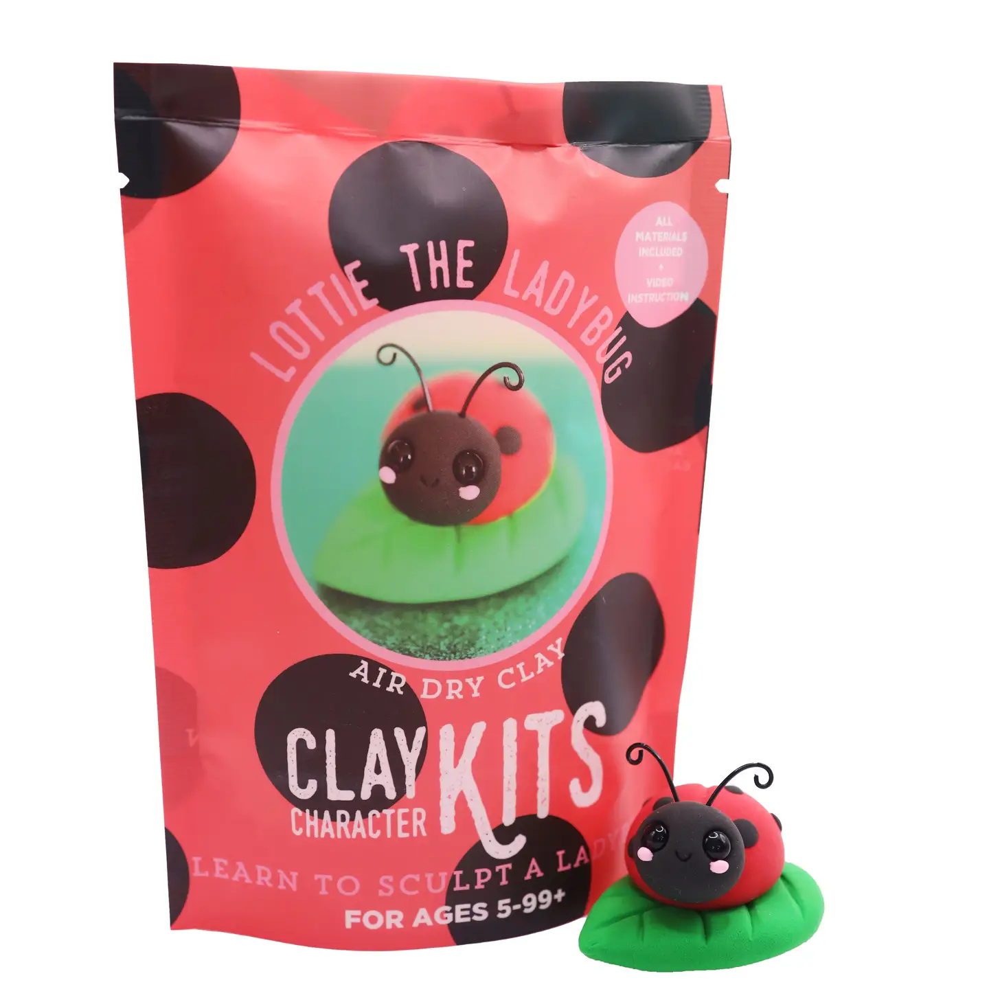 Ladybug DIY Air Dry Clay Kit - Copper Alley Gift Boutique