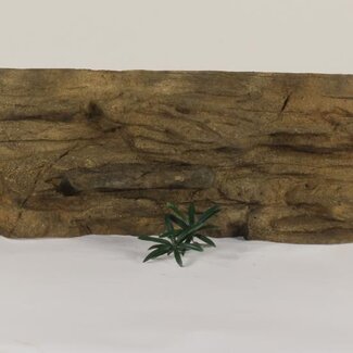18x36 Terrarium Cork Panel Zoo Med Natural Cork Tile Background - 18x36 ...