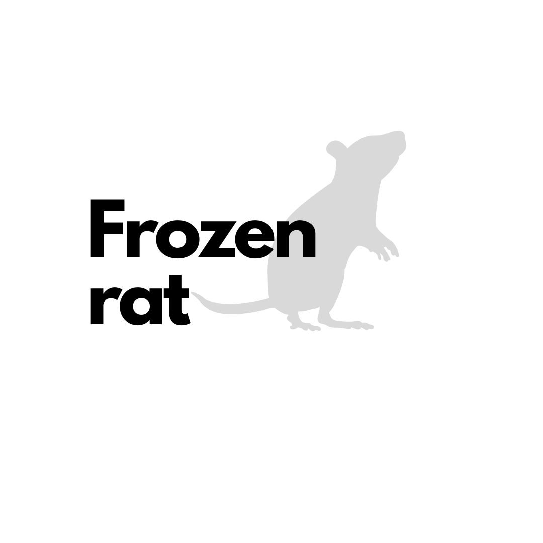 Frozen Rat - Roonami