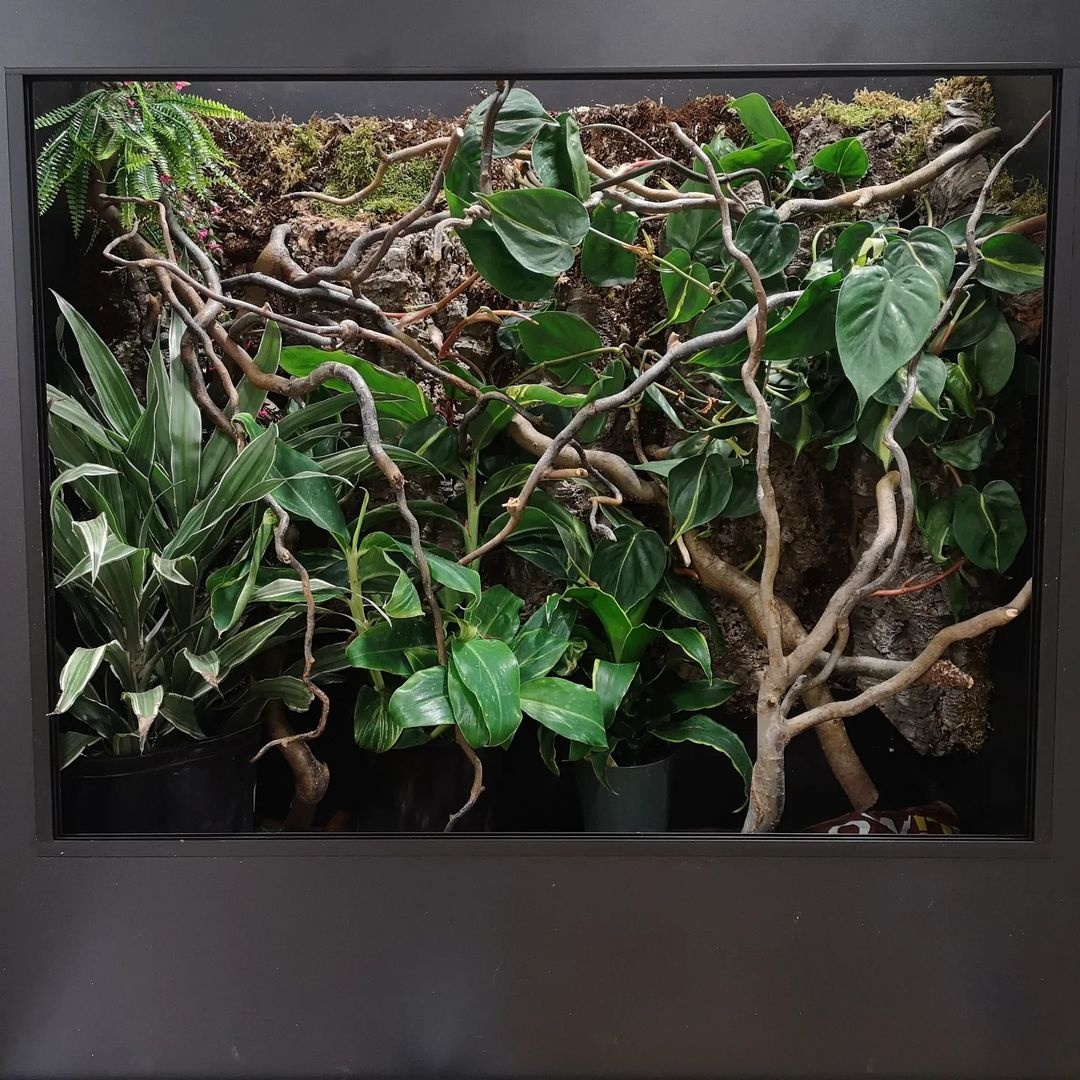 PVC Enclosure 4x2x4 w/ Sliding Glass Doors - Roonami