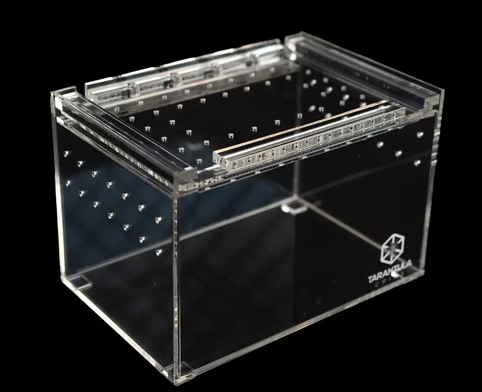 Medium Slider Crib Pro 8" x 6" x 6" Tarantula Cribs - Roonami
