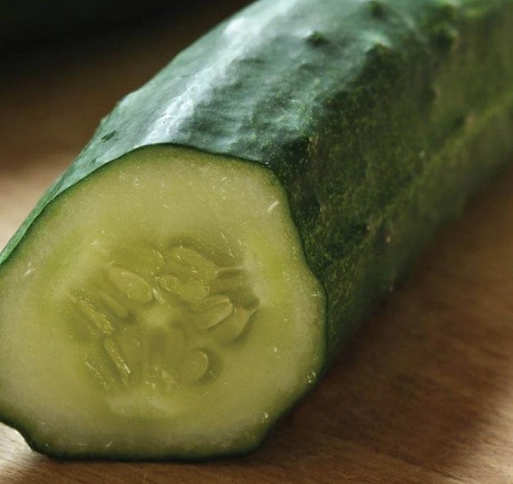 Cucumber Patio Snacker - HomeGrow'N Grow Shop