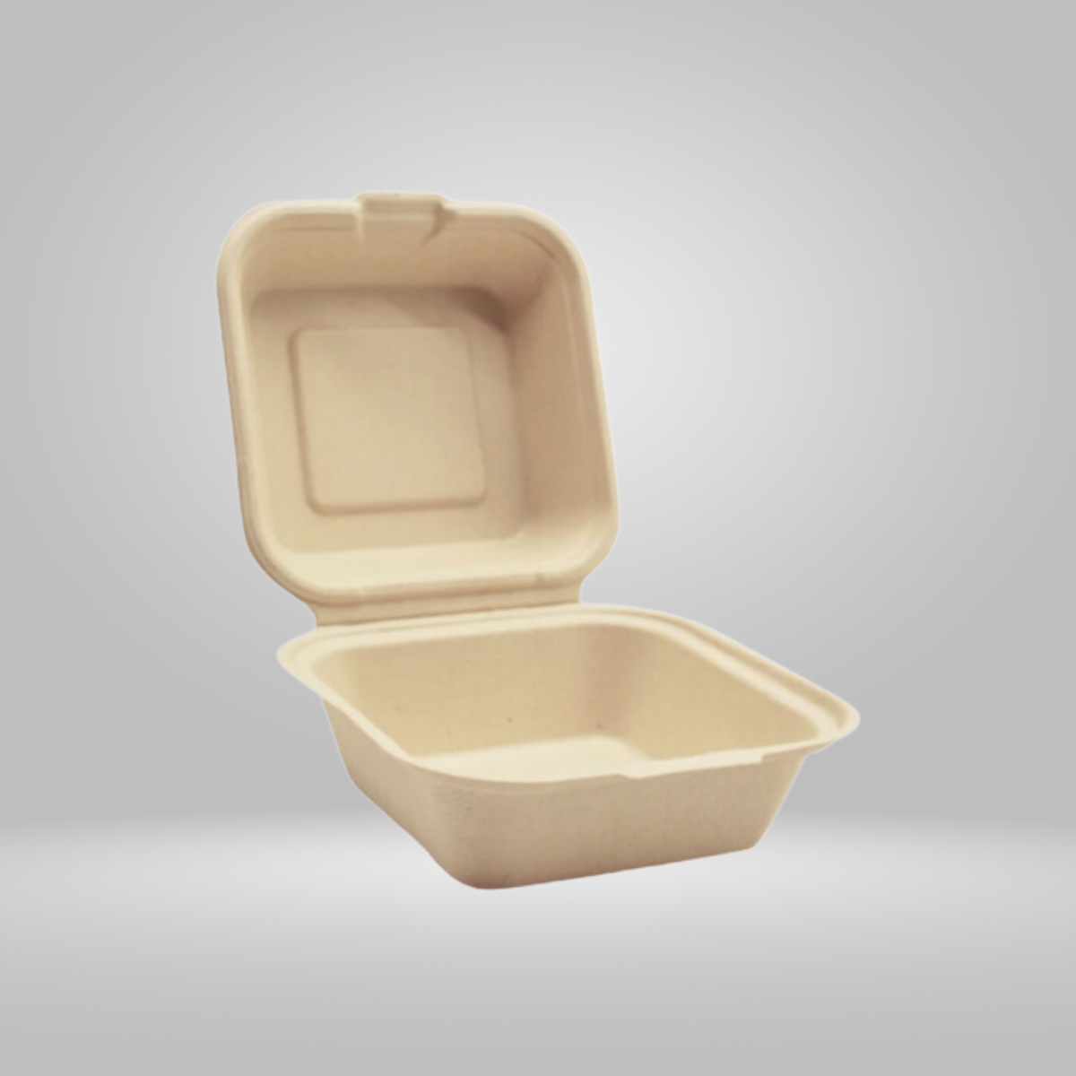 Agio Single Compartment Biodegradable Fiber Containers - Buhaya Solutions
