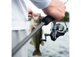 Whisker Seeker Hog Seeker Casting Rods - Gellco Outdoors