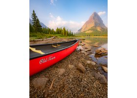 Darton Sequel 33 ST2 Compound Hunting Bow - Gellco Outdoors