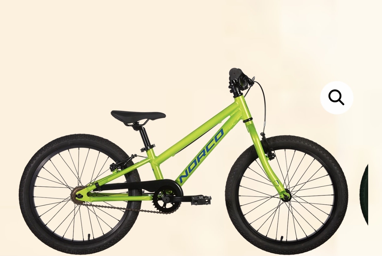 Norco Norco Roller 20" Green - Team Factory Cycles Inc