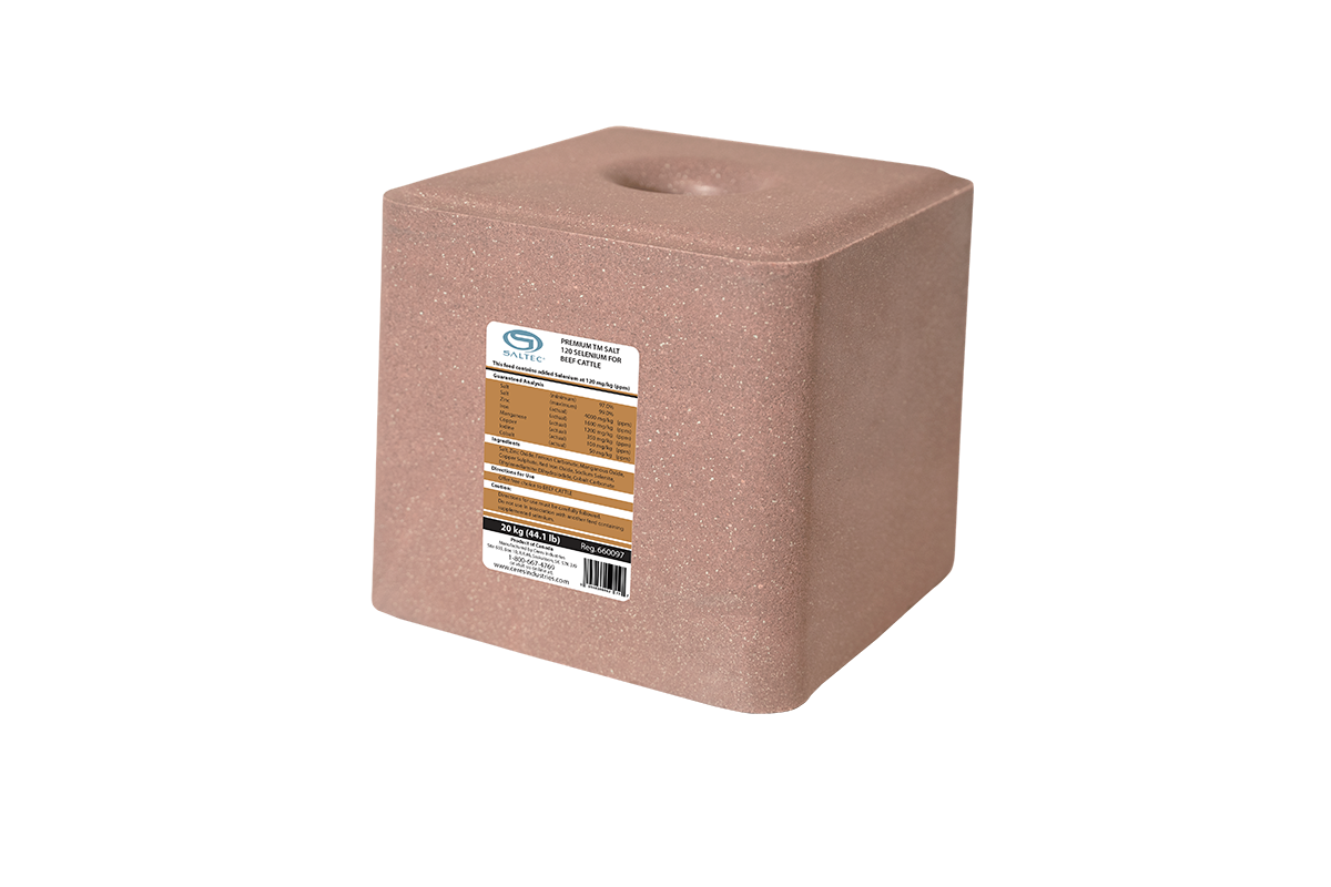 Saltec Selenium Salt Block - Stick and Stone Tack Shop